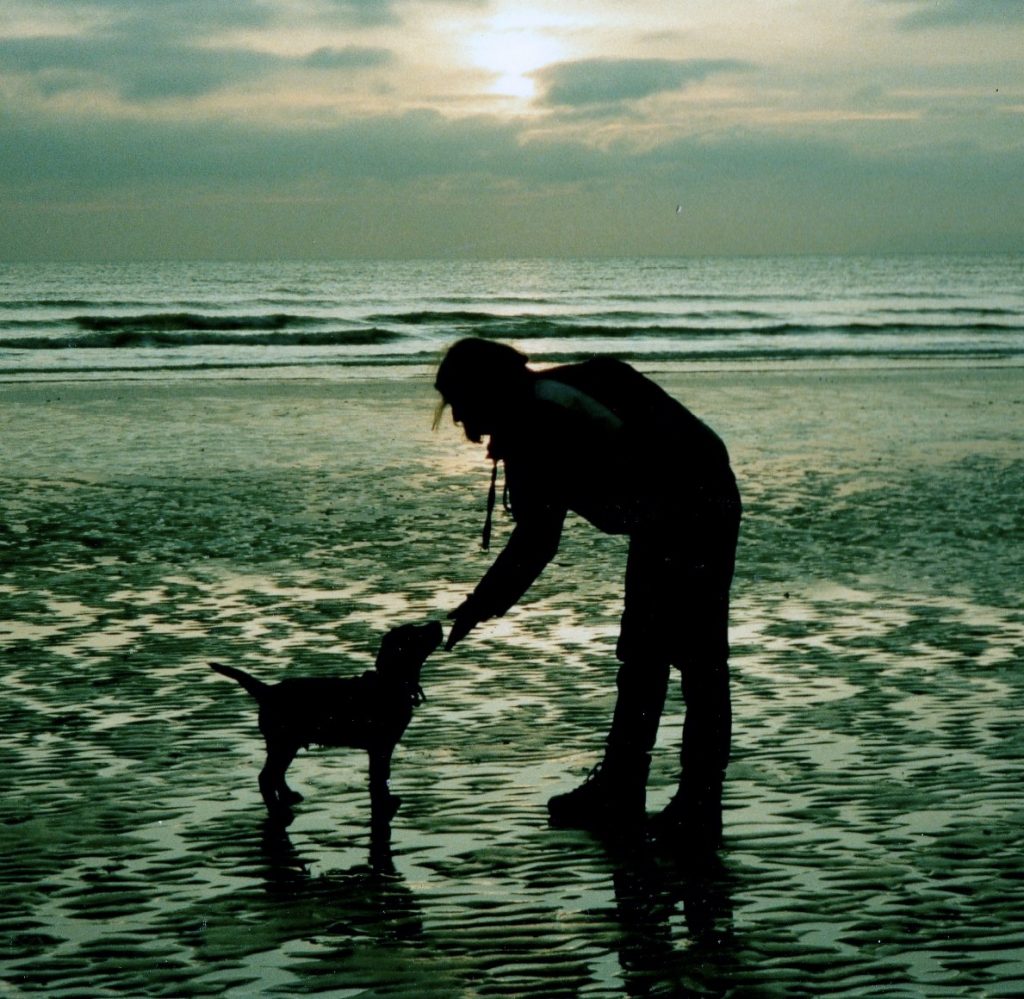 Pet Loss Grief Counseling Certification Program with over 20 classes